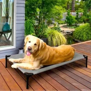 solar tec | Dog | Solartec Pet Cot 42 X 3 | Poshmark
